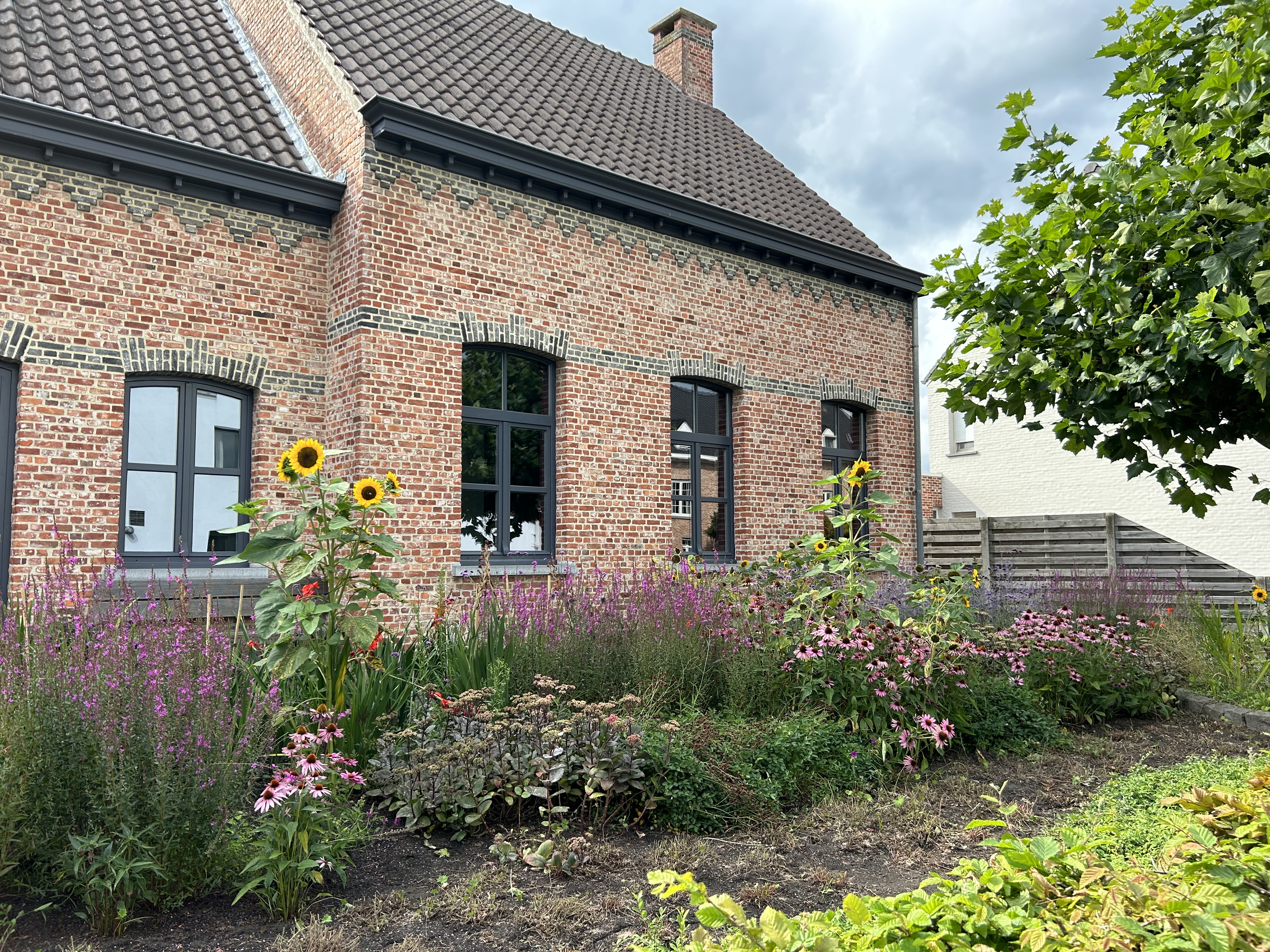 Ga voor een groene voortuin | Kempen2030